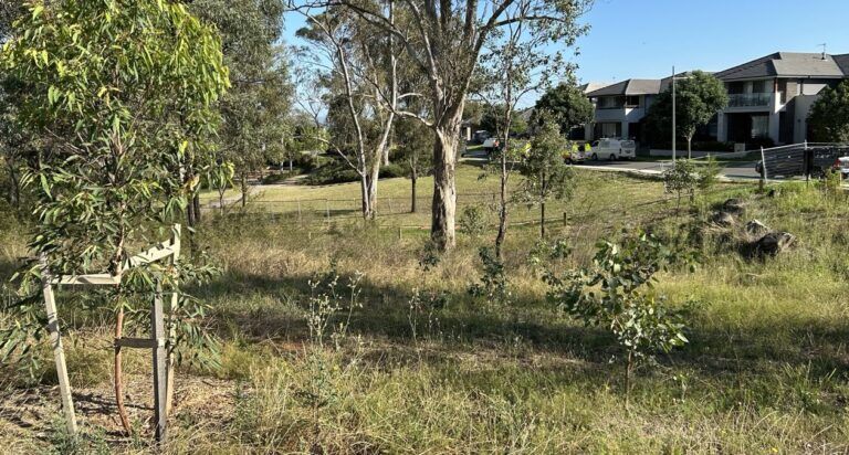 What Is a Vegetation Management Plan (VMP) and Why Does It Matter ...